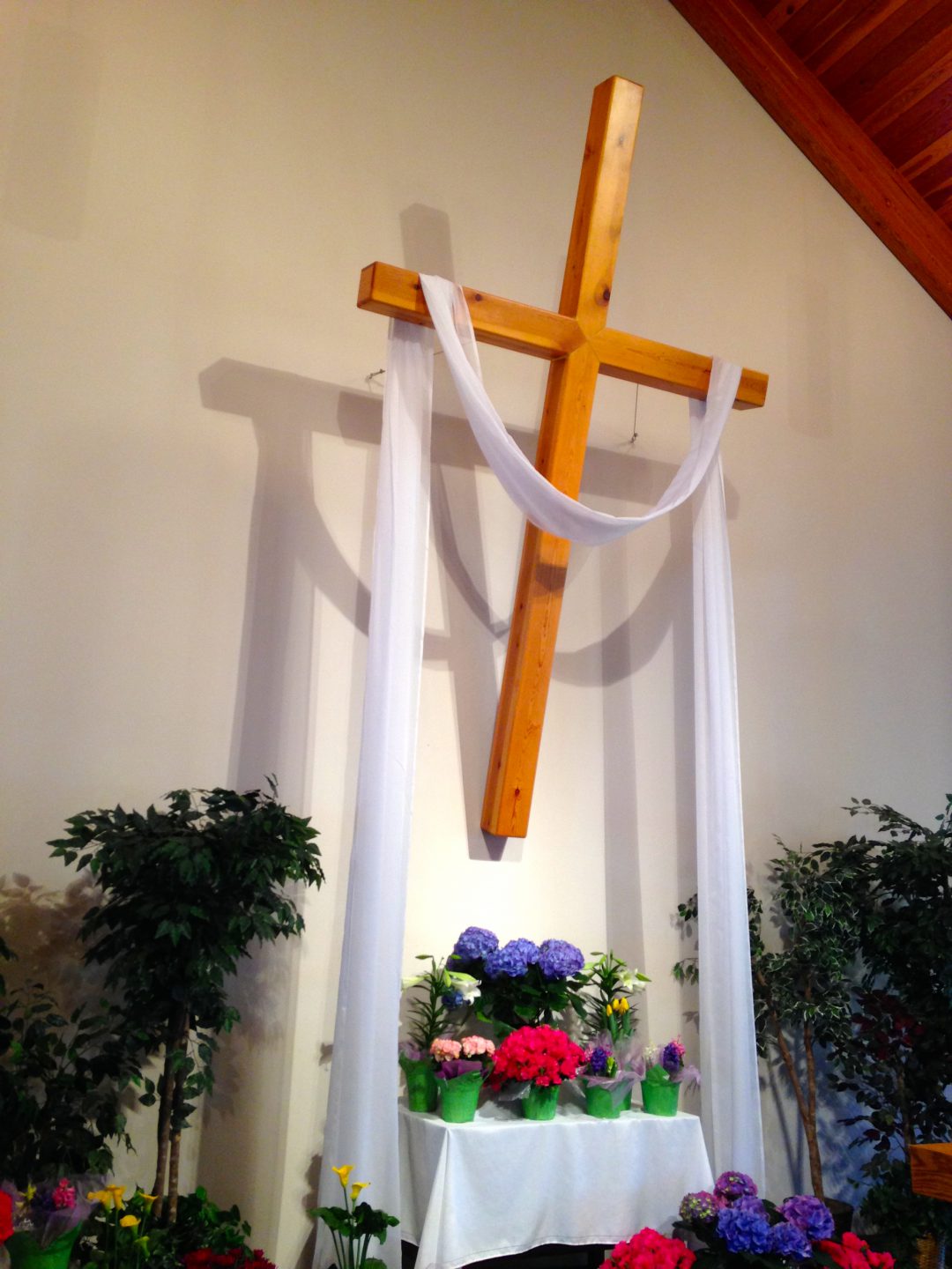 Sunday Worship Service | Community of Joy